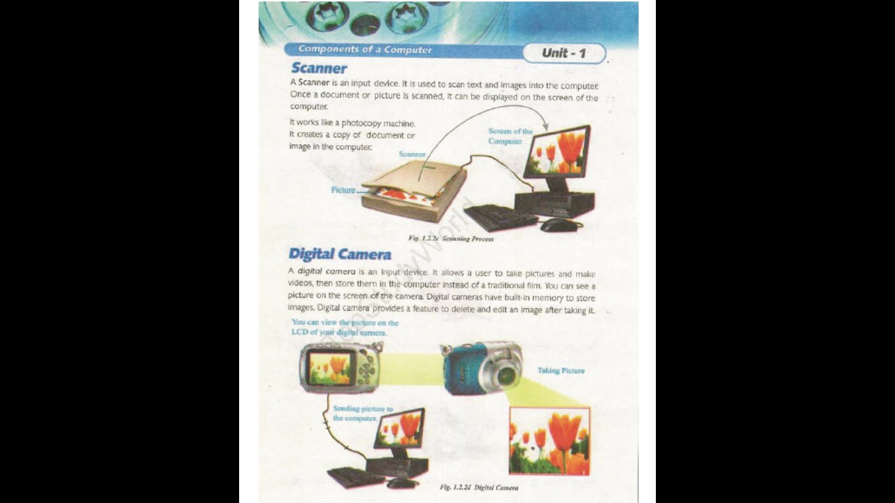 # Computer 6 Unit 1 Scanner, Digital Camera and The Mic