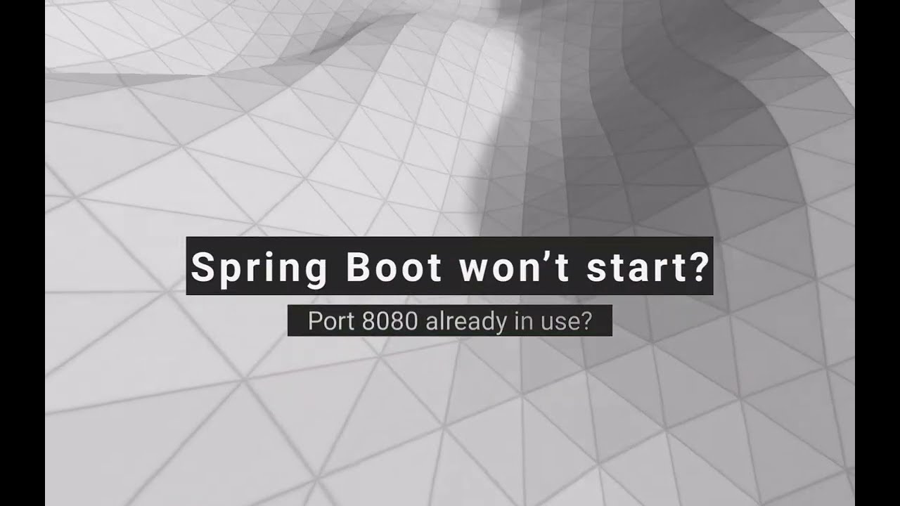 Spring Boot Application Failed to Start (Port 8080 Already in Use) | Real Case Demo