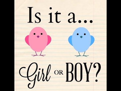 Boy or Girl ? Surprising Family with New Puppy #2021GenderReveal #NewMember