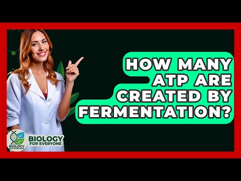 How Many ATP Are Created By Fermentation? - Biology For Everyone