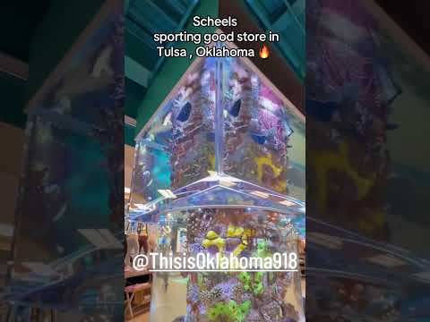 Scheel’s sporting goods store in Tulsa , Oklahoma 🔥⚽️🏀🌳🦌⛺️🥾🎒#travel #ferriswheel