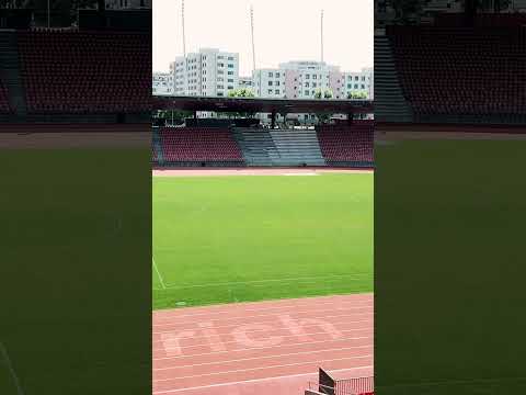 ESTÁDIO LETZIGRUND(interior)#switzerlandeasy#desporto#lazer#entertainment #switzerland#europe