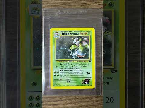 Check out my Erika's Vensaur from Gym Challenge! Looking Forward to the Journey Together Set!