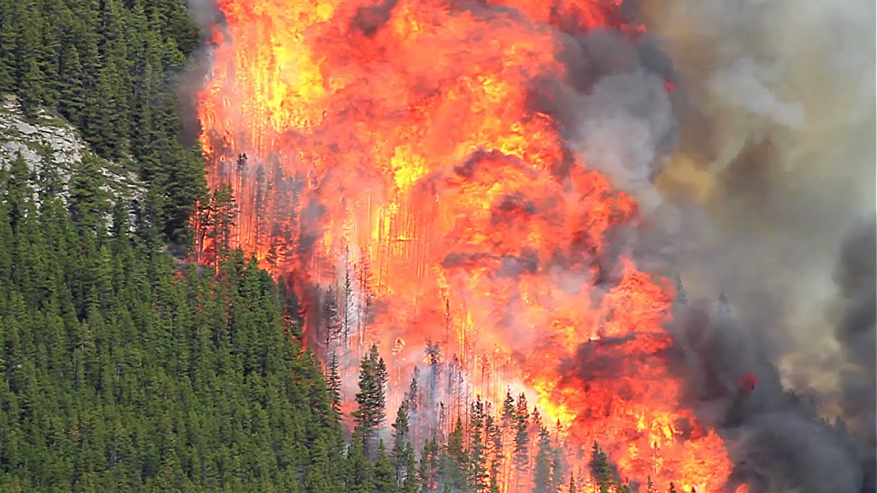 Wildfire Prep - PSA