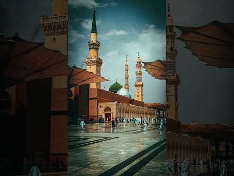 Qalbi Fil Madina