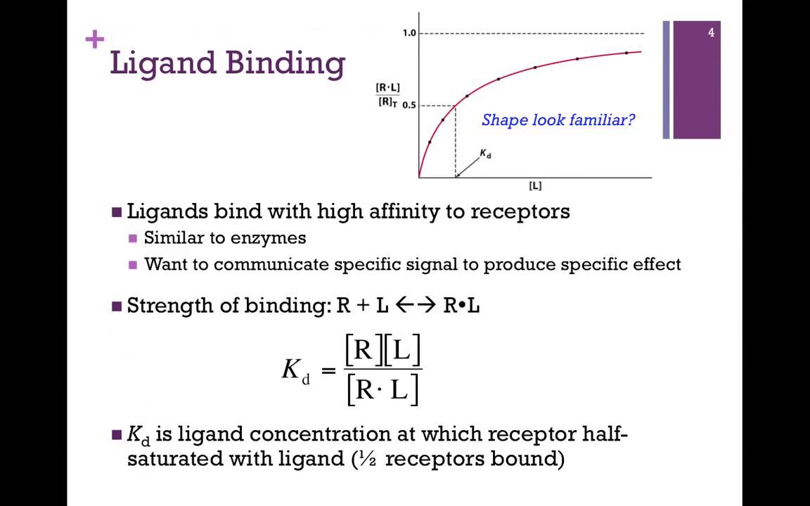 066-Ligand Binding