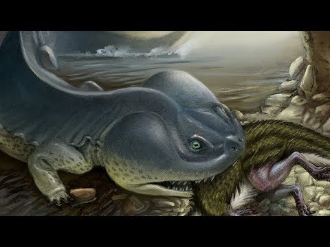 Koolasuchus, big Australian Cretaceous age amphibian | Dear Kitty. Some ...