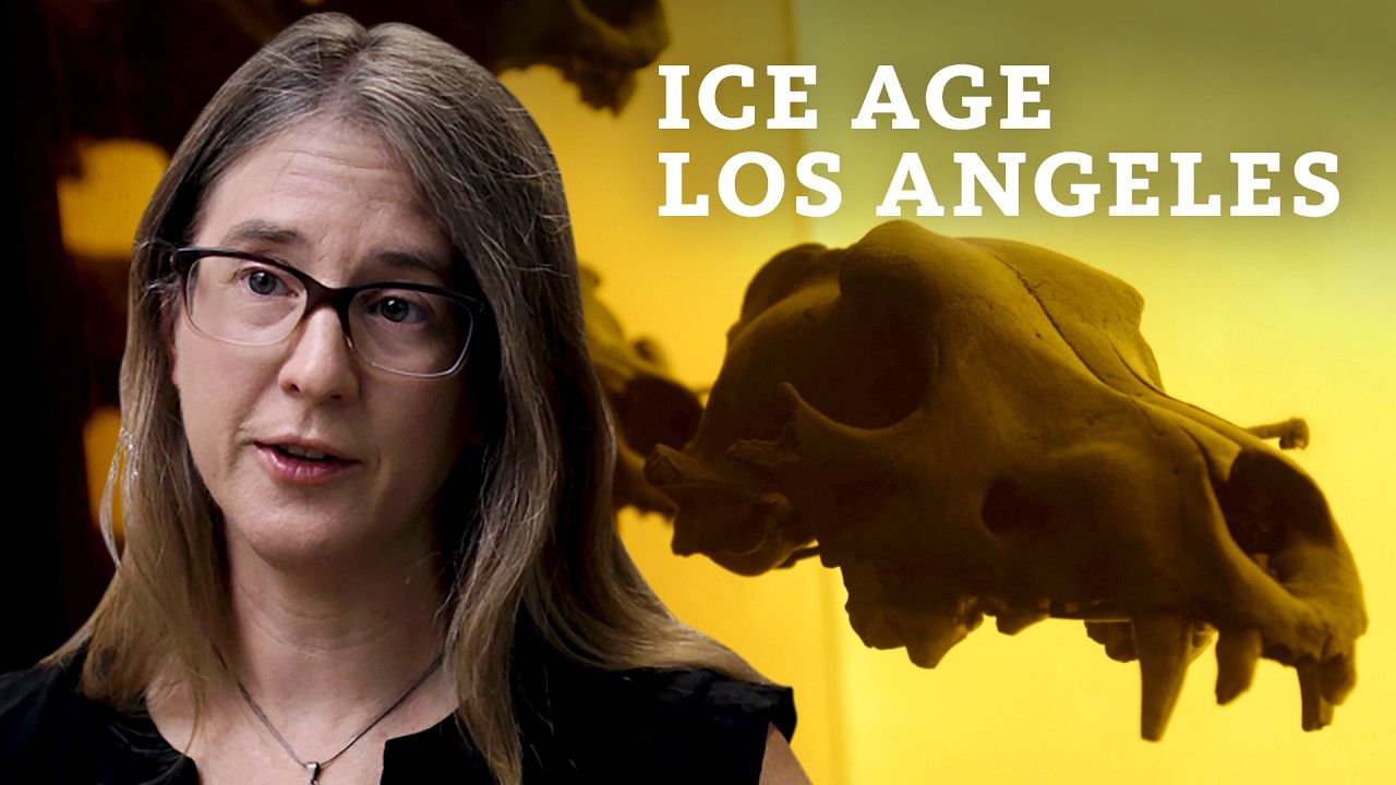 Behind the Scenes: Uncovering L.A.'s Ice Age Past