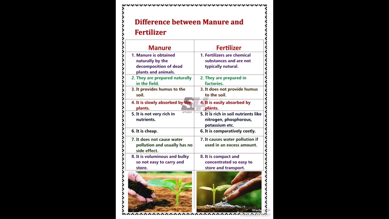 Difference between manure and fertilizers