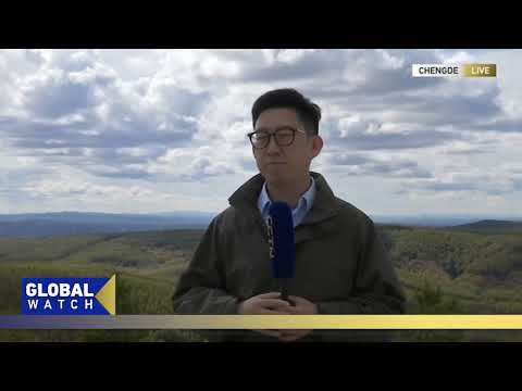 CGTN explores one of the largest man-made plantations in N China