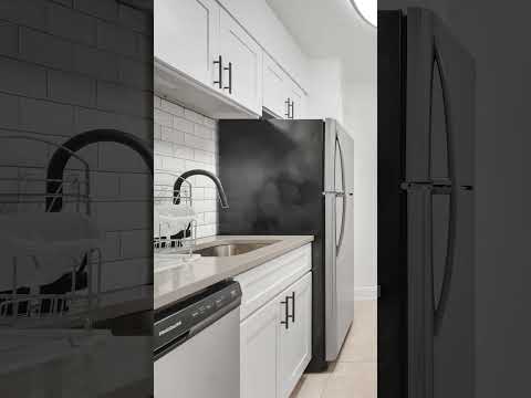 Luxury 1 Bedroom Apartments Tampa #shorts #tampa #florida #tampaflorida #apartment