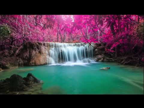 The Dash By Linda Ellis - A Poem
