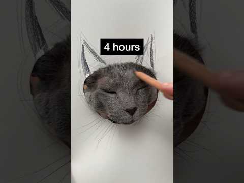 Hyperrealistic cat drawing ????