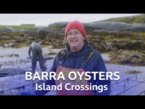 Oyster Farming on Barra | Island Crossings | BBC Scotland