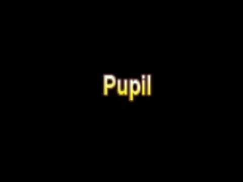 What Is The Definition Of Pupil Medical School Terminology Dictionary