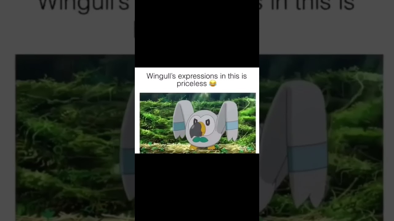 wingull wins best bird pokemon 😂