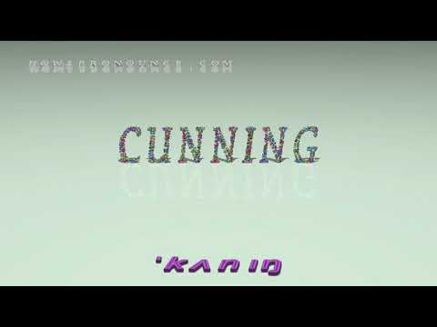 cunning - pronunciation + Examples in sentences and phrases