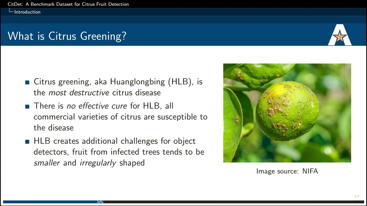 CitDet: A Benchmark Dataset for Citrus Fruit Detection