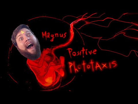 Steam Community :: Magnus Positive Phototaxis