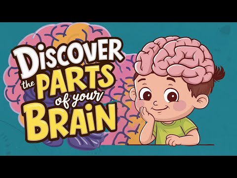 🧠Brain Parts Song Kids- Brain Anatomy hippocampus, prefrontal cortex, amygdala, cerebellum, neurons