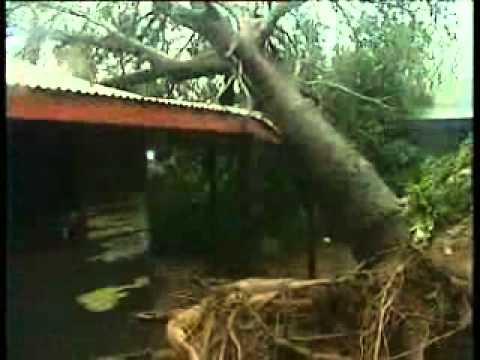 Cyclone Ingrid | Connor's Science Work