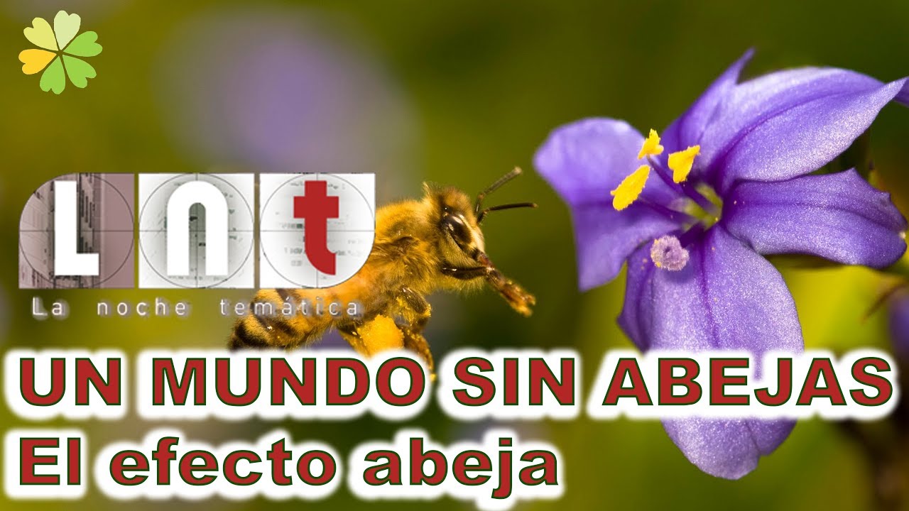 Un mundo sin abejas - El efecto abeja