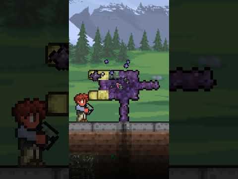 Can you guess these Terraria builds?
