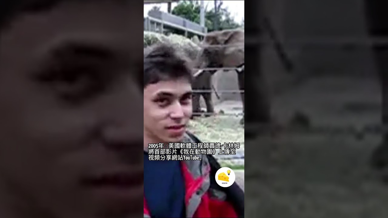 【歷史上的4/23】YouTube首部影片。 #shorts