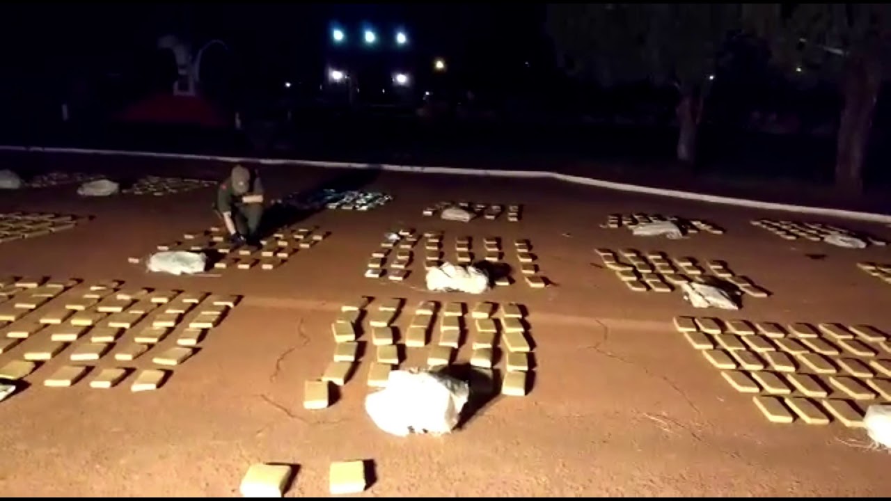 Gendarmería secuestró en Misiones más de 1.970 kilos de marihuana ocultos en una finca