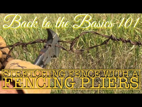 Stretching barbed fence with a fencing pliers.