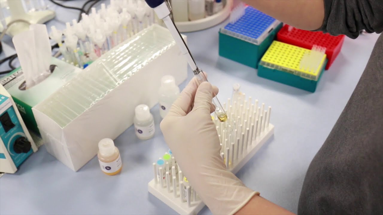 Sample Preparation - Arbor Assays