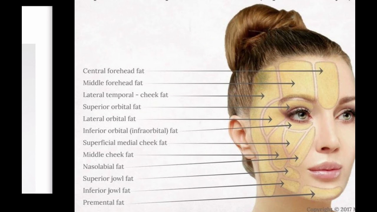 Como funciona o tratamento de olheiras com preenchimento? Dra. Gabriela Schaefer - Dermatologista