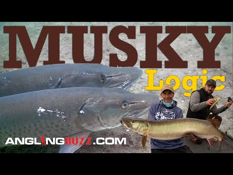 Musky Logic