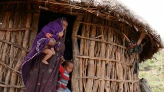 The Carter Center Inc - GuideStar Profile