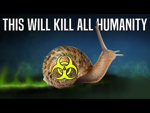 Snails Kill 200,000 People Yearly – Quackarium