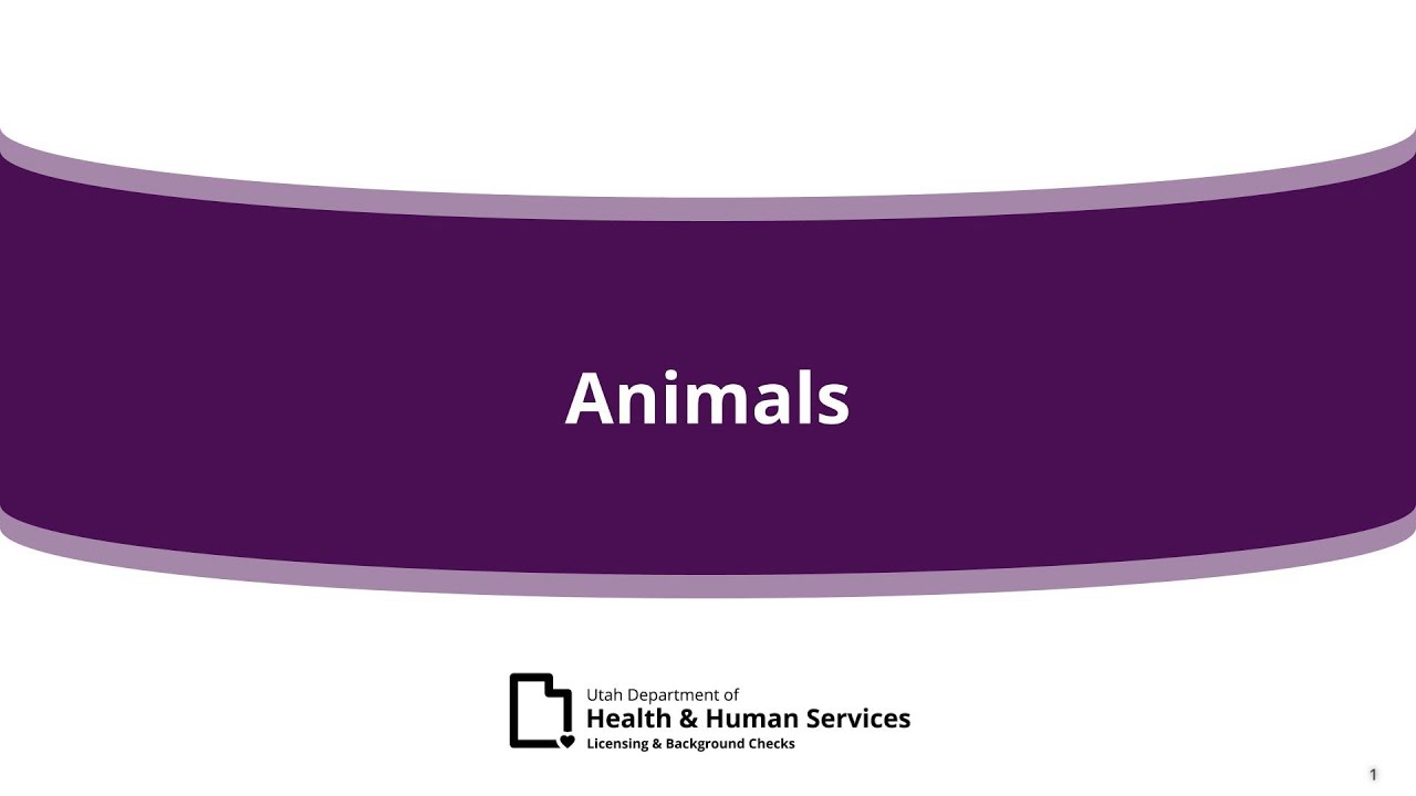 Animals (DWS FFN-21)