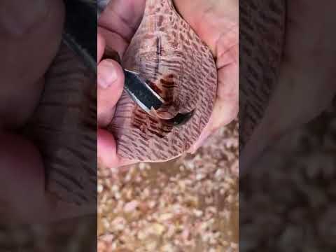 GadgetsPoint365! ✅ Woodworking Tools and Plans | Wooden Art #woodworking #woodwork #shorts