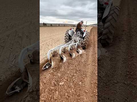 Grey Fergie Tractor with 4 Furrow Plough