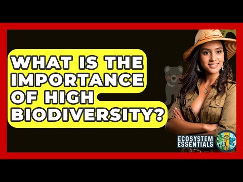 What Is The Importance Of High Biodiversity? - Ecosystem Essentials