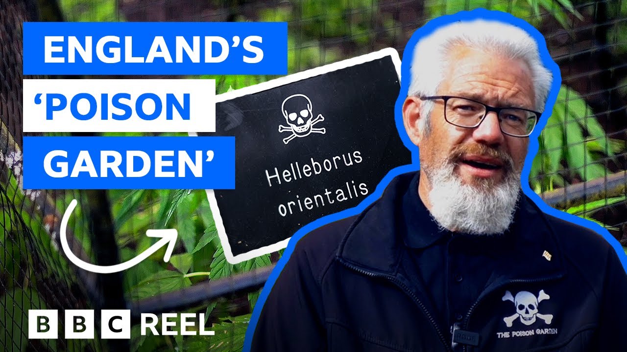 Britain's deadliest garden | BBC Global
