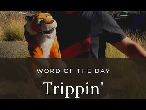 Tripping. What Does It Mean?