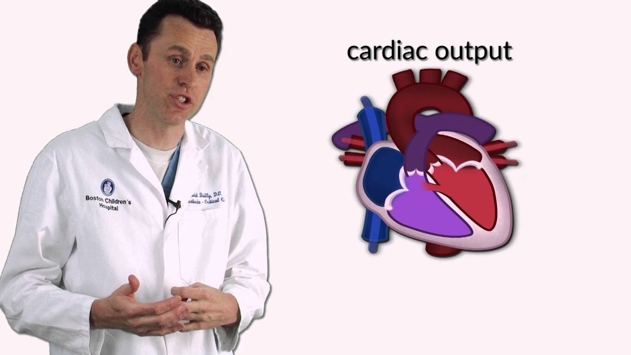 Ventricular Septal Defects by D. Bailly | OPENPediatrics