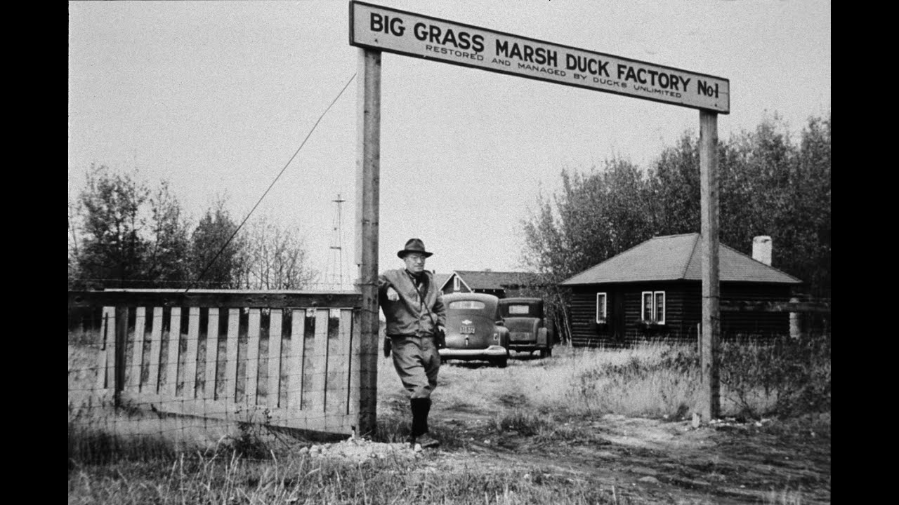 The Ducks Unlimited Canada Story