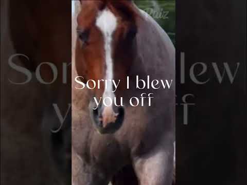 Horse: VS Code Red❤️