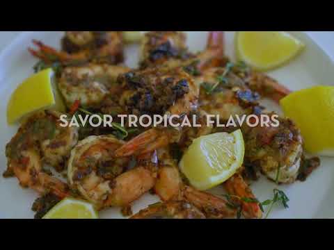Celebrity Cruises Caribbean 2025 2026 with Jason Boull at Not Just Travel | Your Cruise Expert
