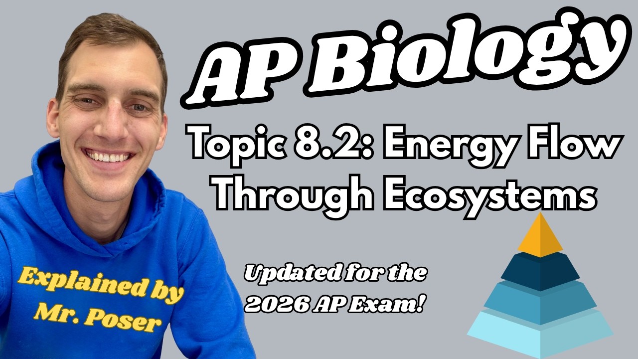 8.2 Energy Flow Through Ecosystems - AP Biology (Updated 2025-2026)