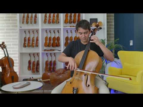 A Rare and Fine Italian Cello by Carlo Antonio Testore | Milan 1730-40