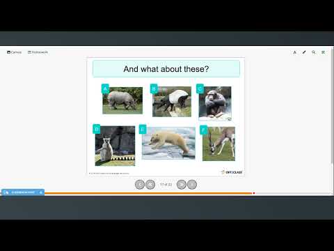 Mammal Vocabulary for B1 ESL Learners | Words for Creatures That Live (Mostly) on Land