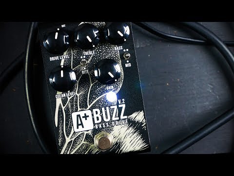 Shift Line Buzz V.2 | Reverb