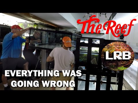 UPGRADING LUCAS BRETZ'S FISHROOM | HUGE tank delivery at LRB Aquatics -Aquarium Hoarder | The Reef